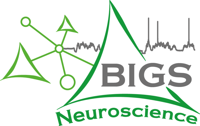 bigs-neuroscience – bigs-neuroscience